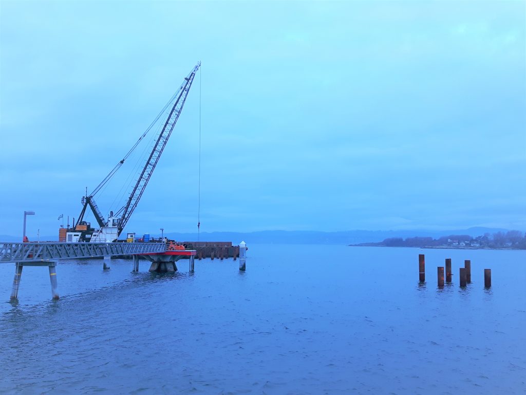 Victoria Cruise Terminal mooring dolphin extension on track for 2020 ...